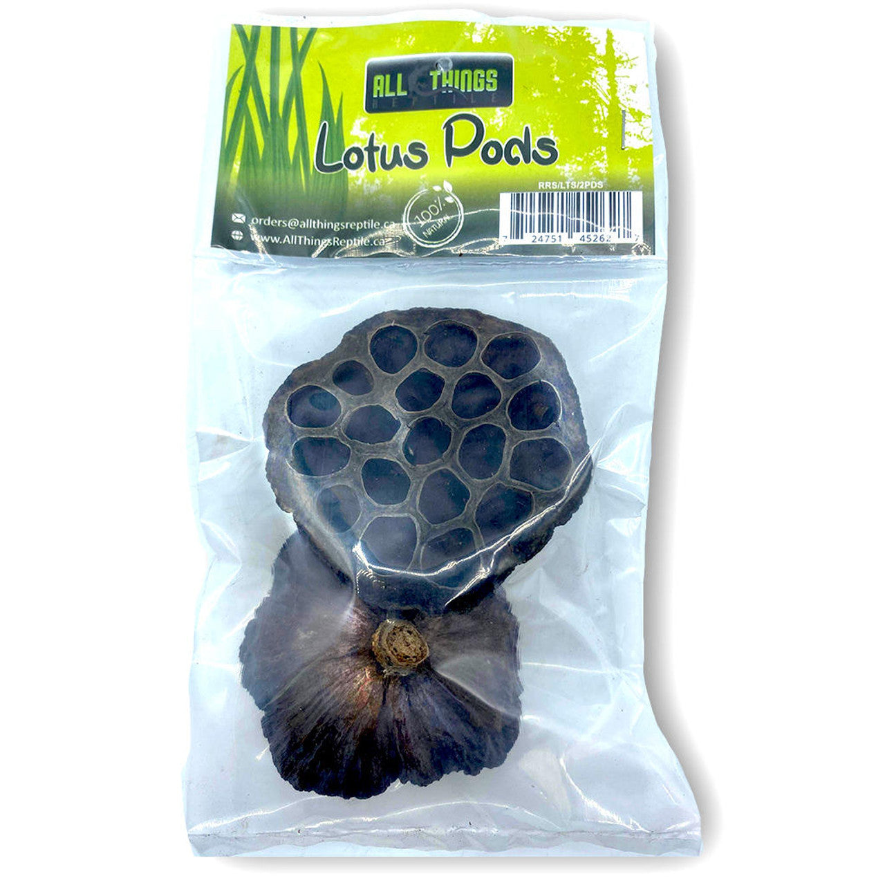 Lotus Pods - 2 pack – The Beastiary