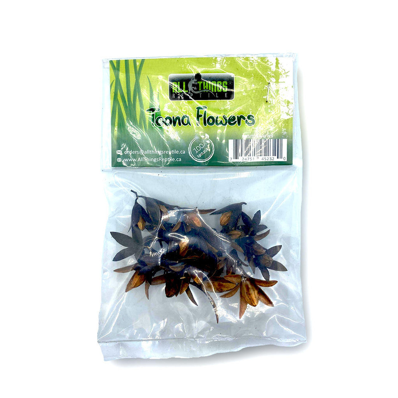 Dried Toona Flowers - 20 pack – The Beastiary