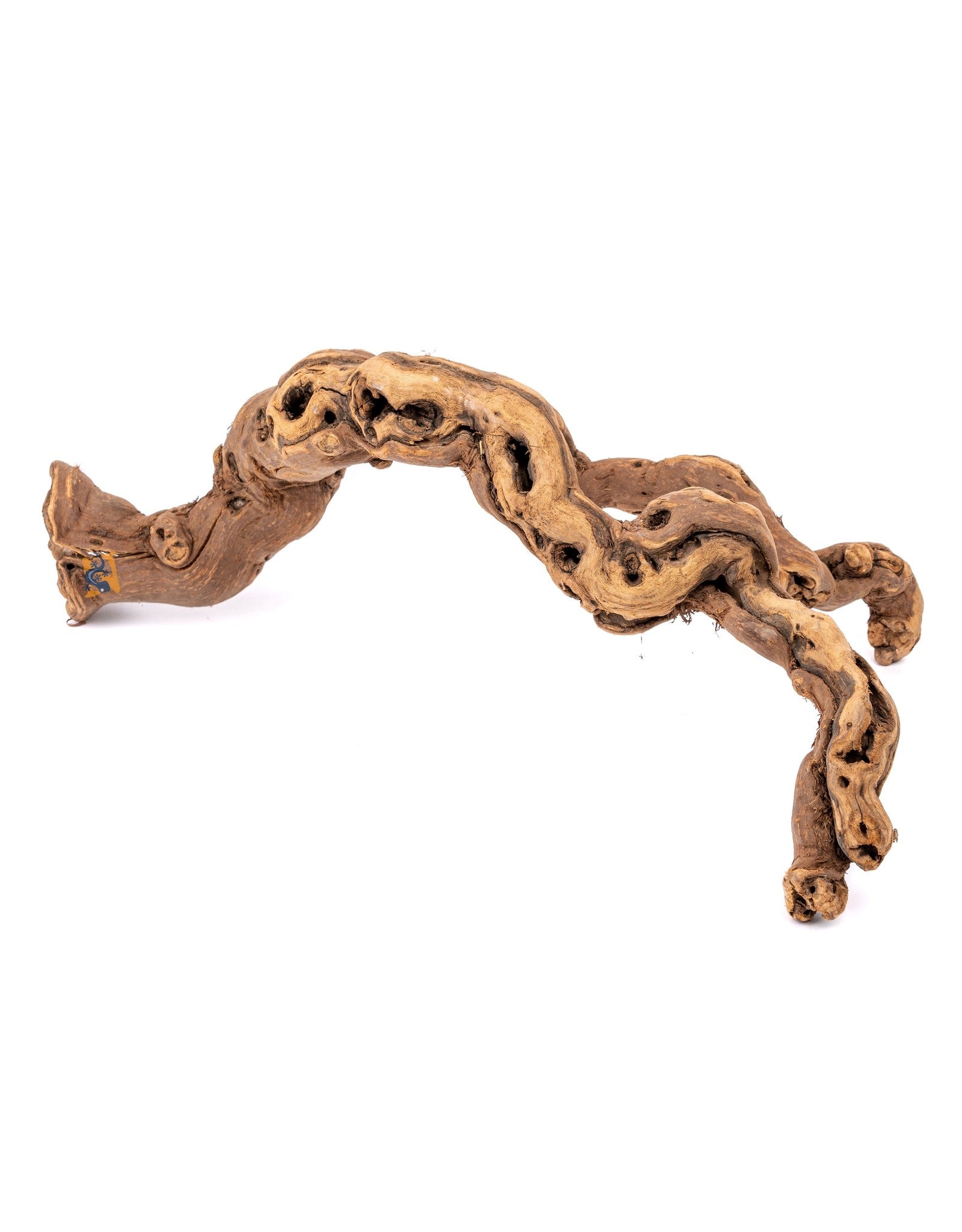 Sand-Blasted Grapevine Wood – The Beastiary