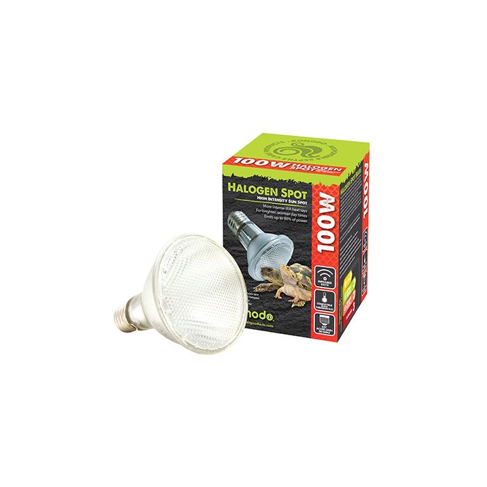Komodo Halogen Spot Bulb - 100W – The Beastiary
