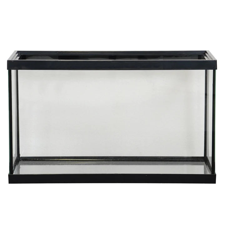 Seapora Standard Glass Aquarium – The Beastiary